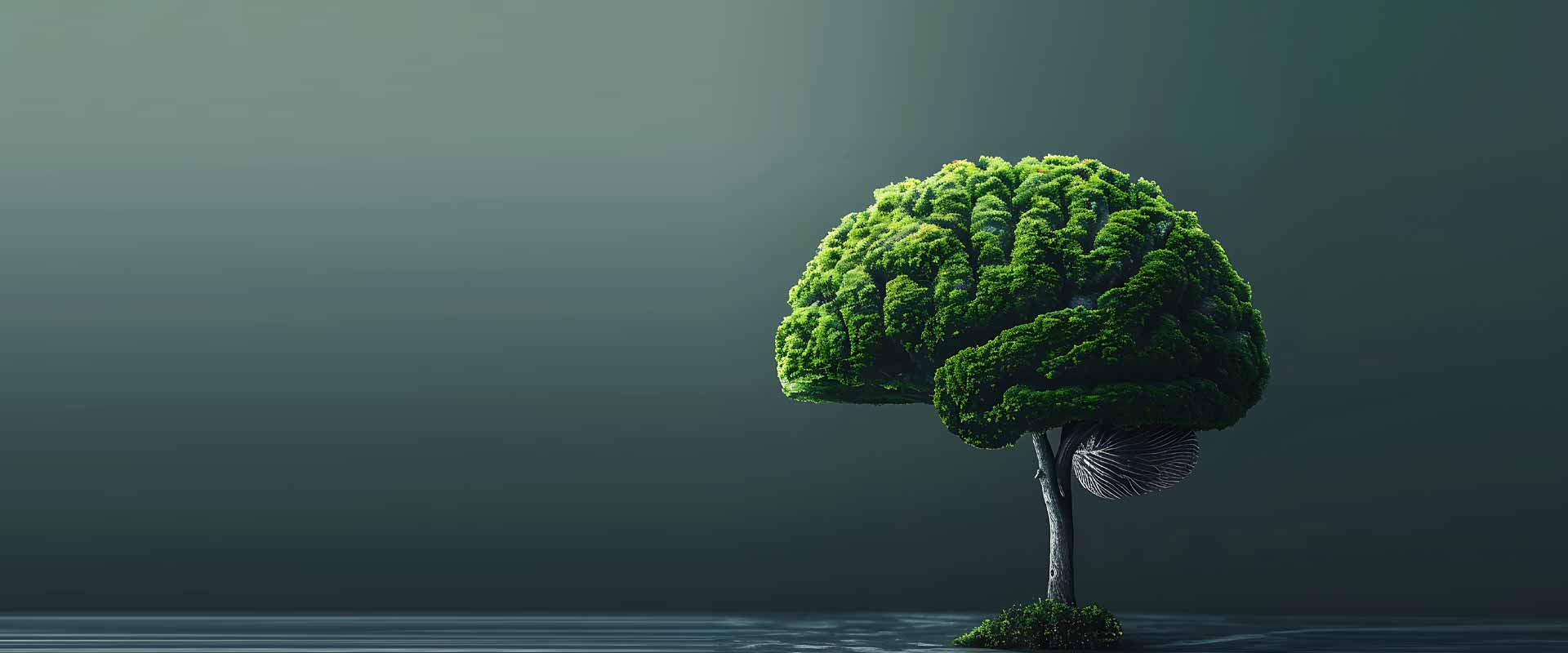 Brain Capital Alliance