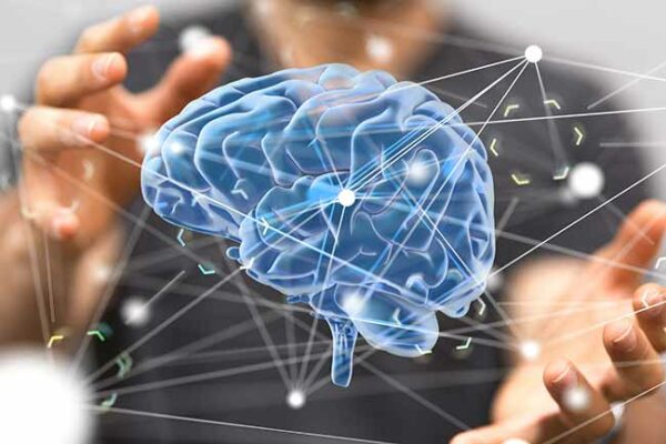 Brain Capital Alliance